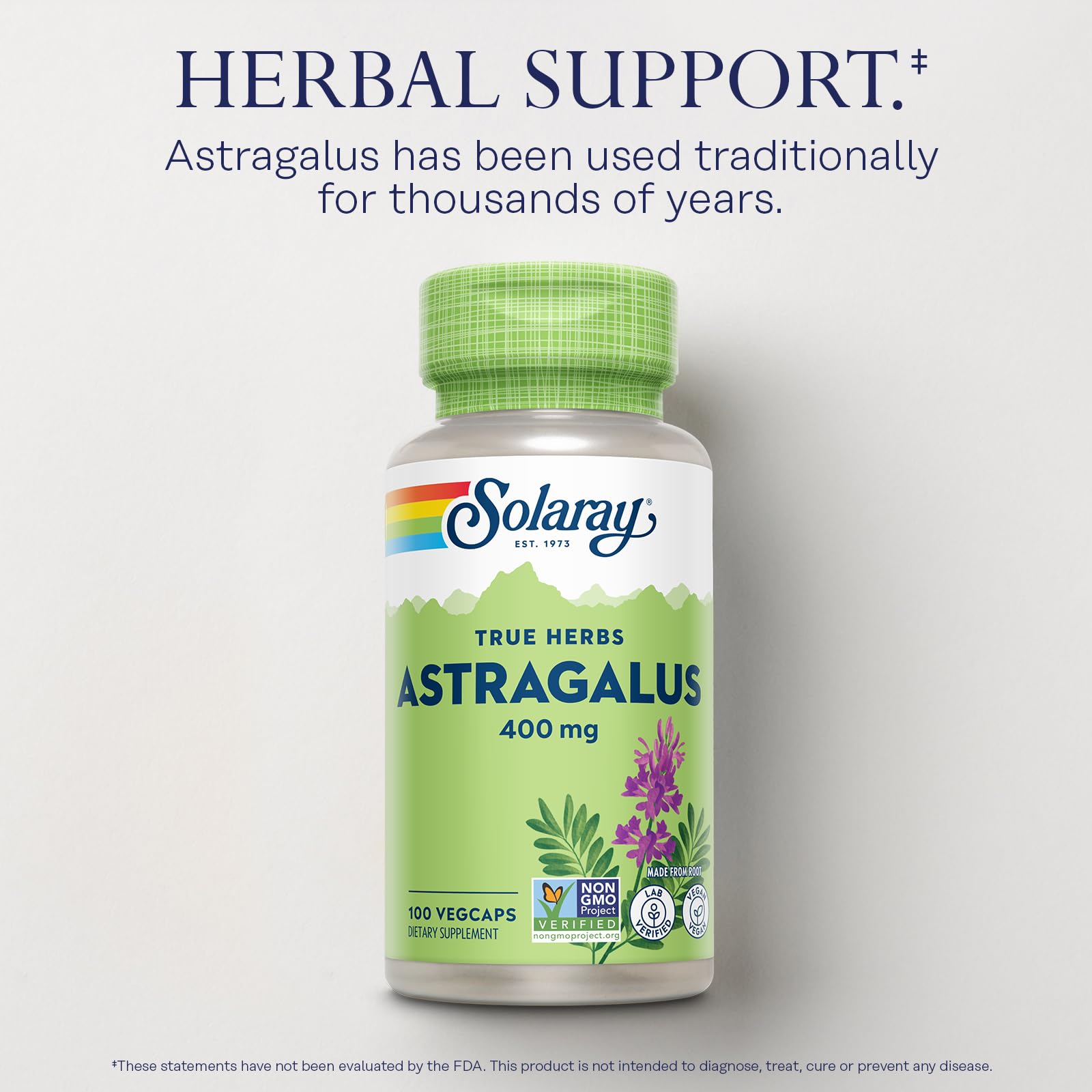 Natural immune support Astragalus supplement