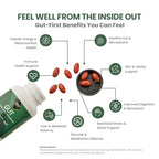 natural immune support black seed oil