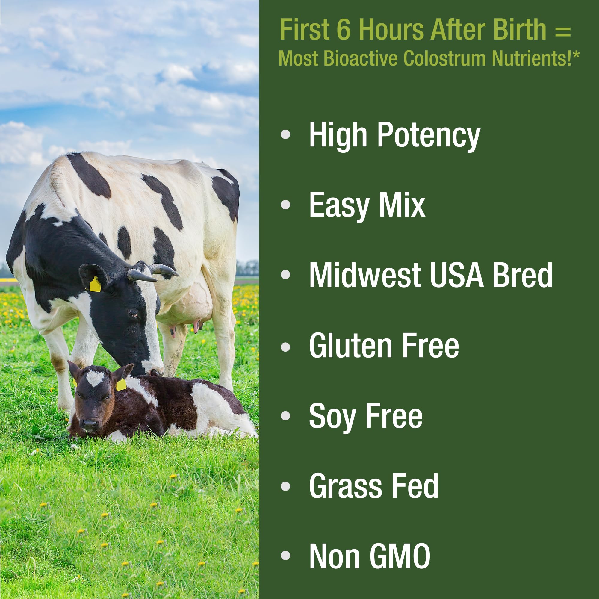 natural immune support colostrum
