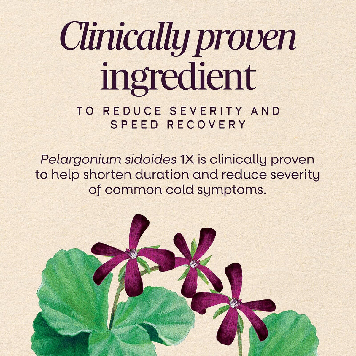 natural immune support drink