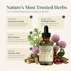 Natural immune support drops