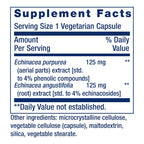 natural immune support echinacea capsules