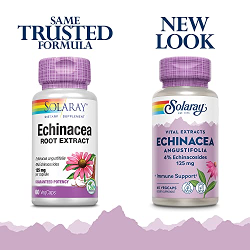 Natural immune support Echinacea capsules