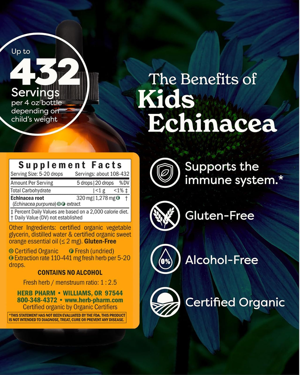 natural immune support echinacea glycerite