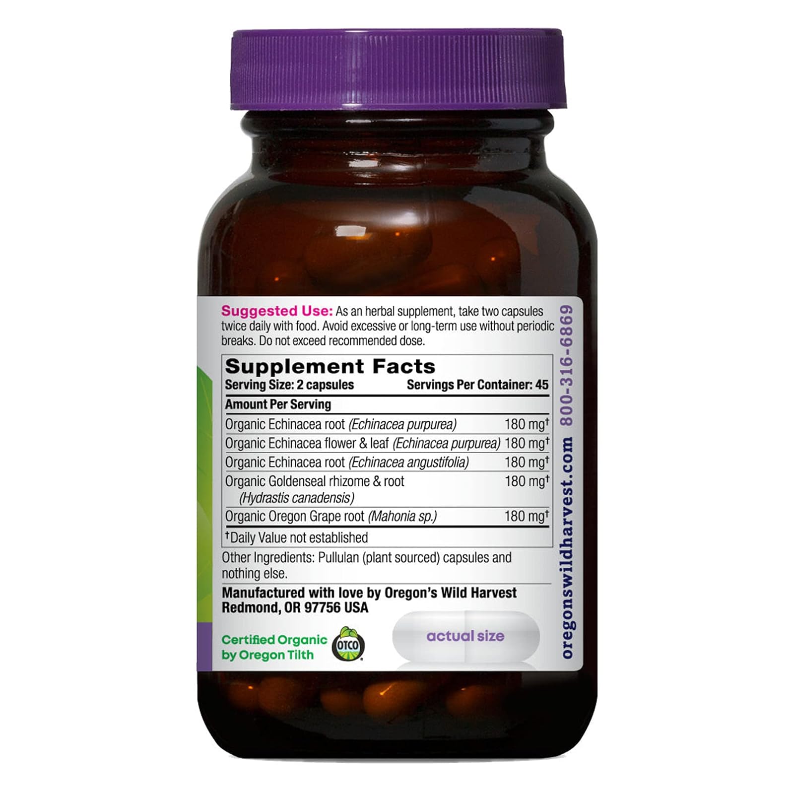 natural immune support echinacea goldenseal