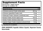 natural immune support echinacea supplement