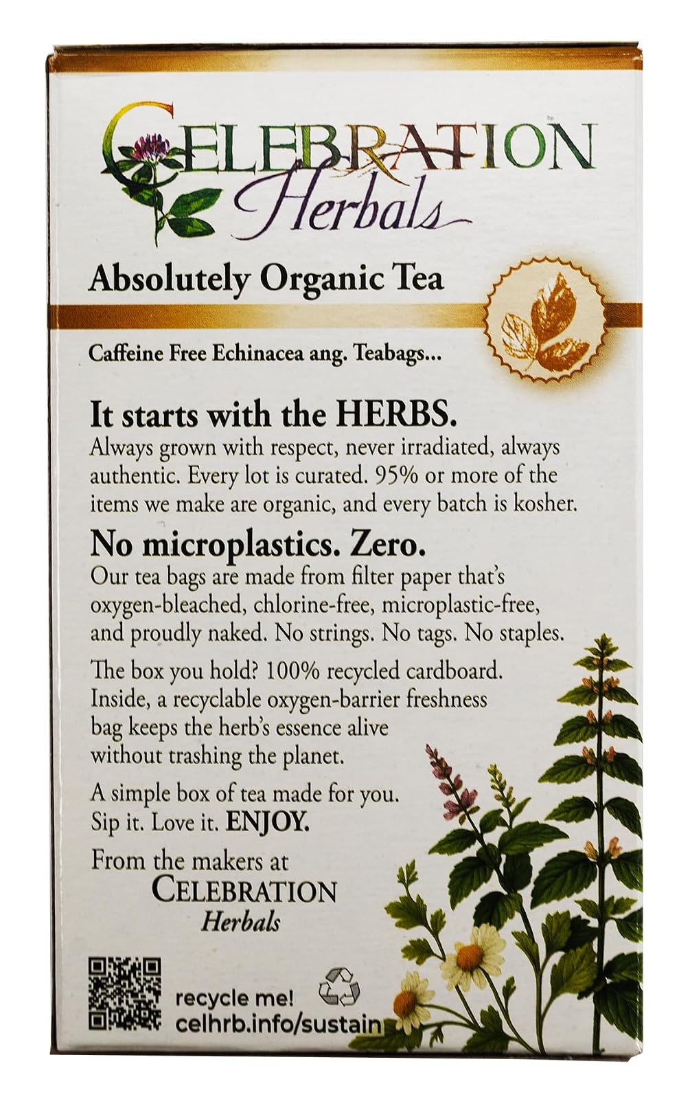 natural immune support echinacea tea