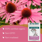natural immune support echinacea tea