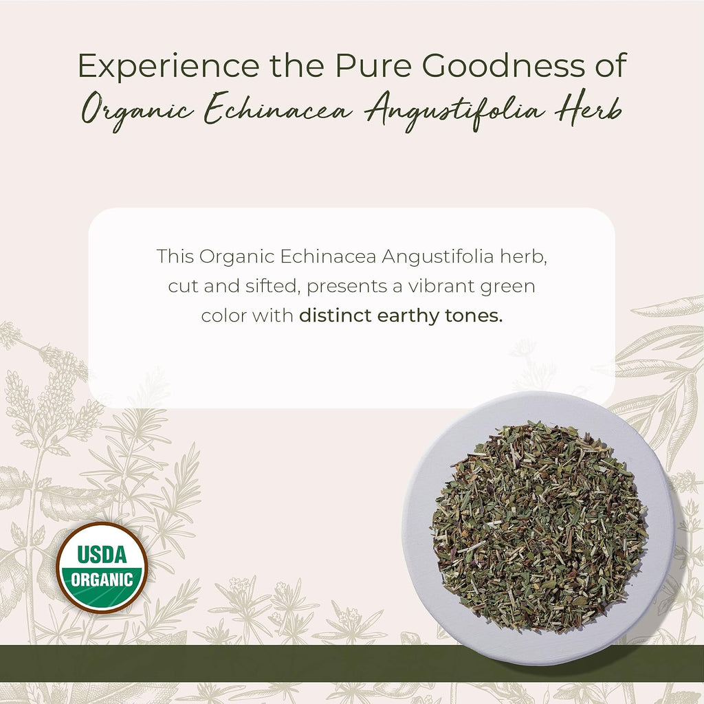 natural immune support echinacea