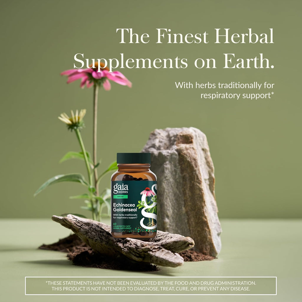 natural immune support echinacea