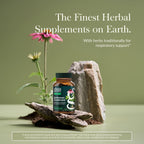 natural immune support echinacea