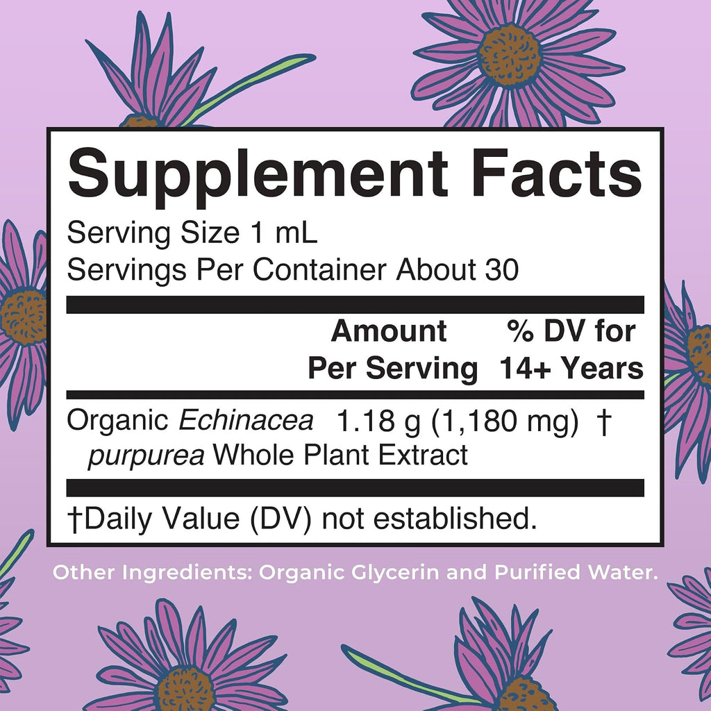 natural immune support echinacea