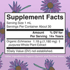 natural immune support echinacea
