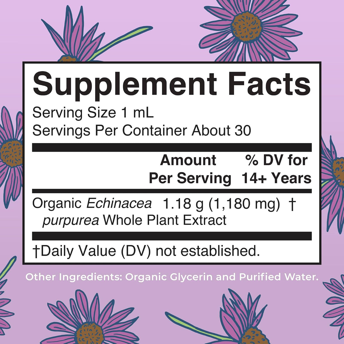 natural immune support echinacea