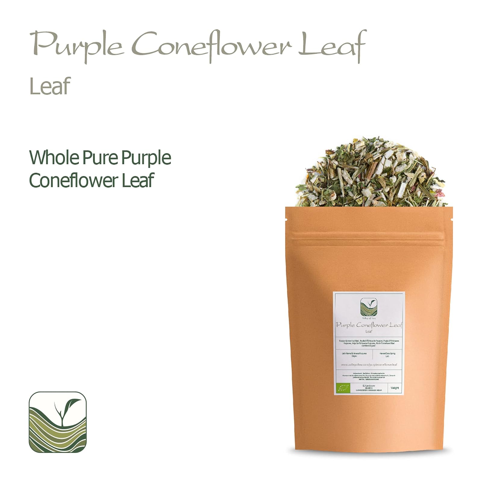 natural immune support echinacea