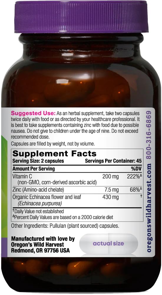 natural immune support echinacea