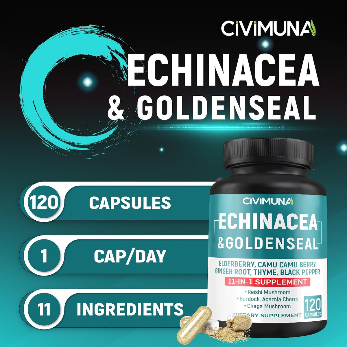 Natural immune support Echinacea