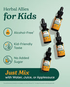 natural immune support echinacea