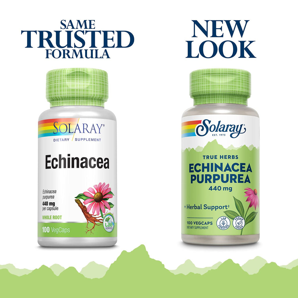Natural immune support echinacea