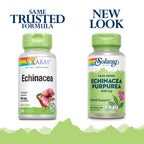 Natural immune support echinacea