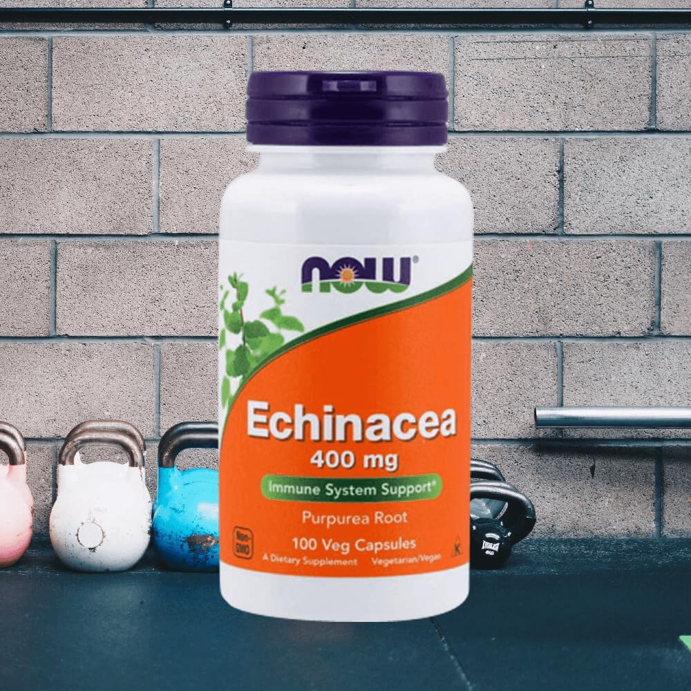 natural immune support echinacea