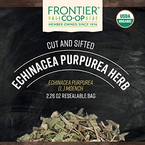 natural immune support echinacea