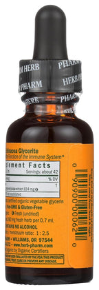 natural immune support Echinacea
