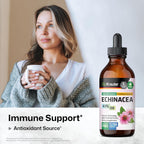 natural immune support echinacea