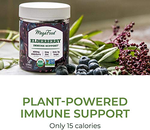 natural immune support elderberry chews