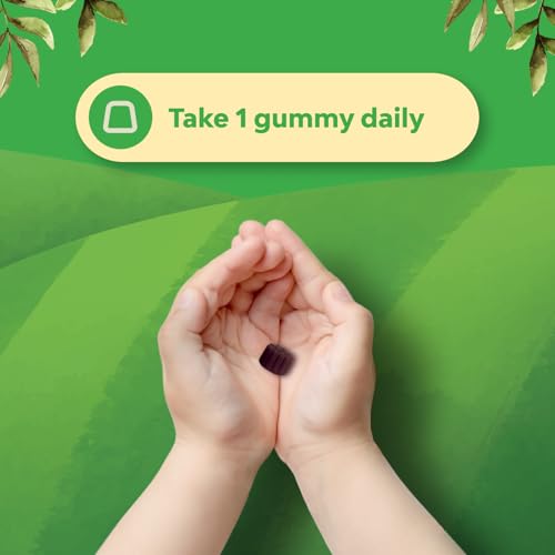 natural immune support elderberry gummies