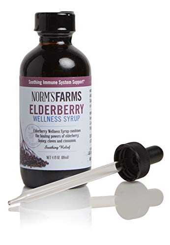 natural immune support elderberry syrup
