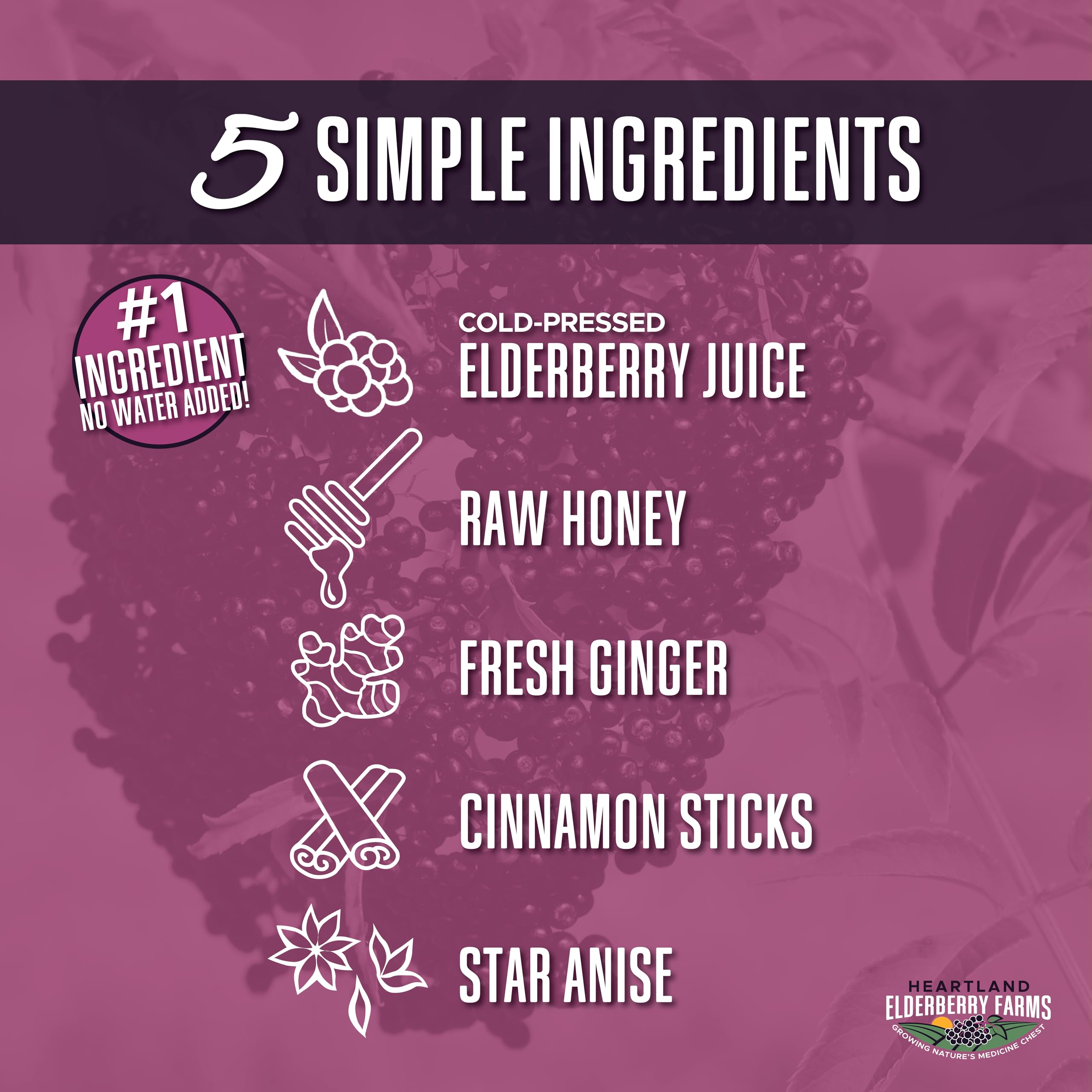 natural immune support elderberry syrup