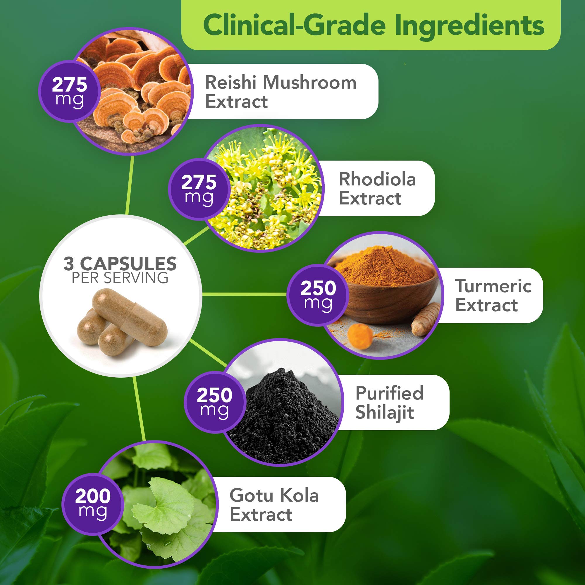 natural immune support for Canadians