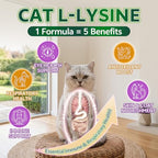 Natural immune support for cats