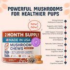 natural immune support for pets