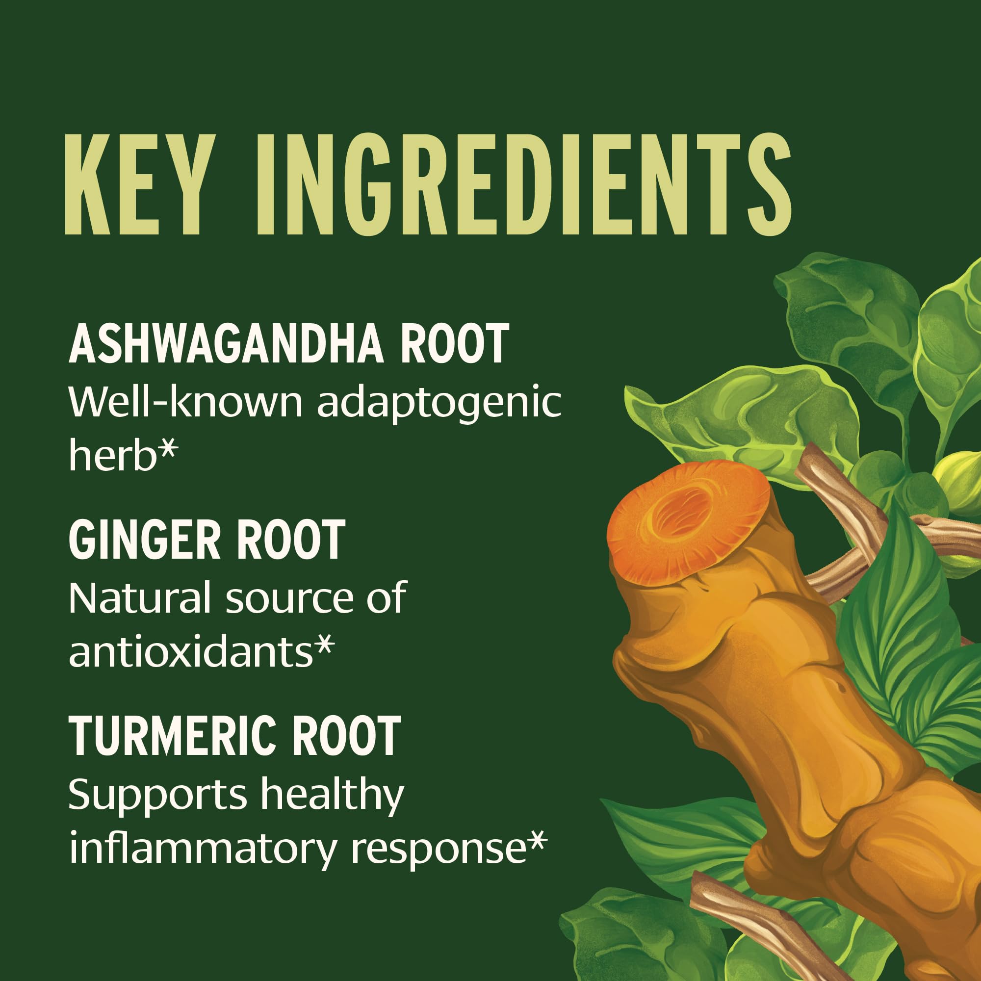 natural immune support for travellers