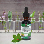 natural immune support goldenseal