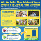 Natural immune support gummies