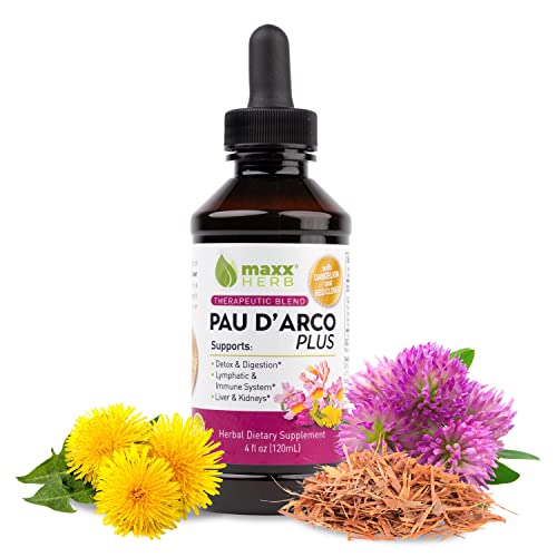 natural immune support herbal extract