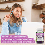 natural immune support Holy Basil