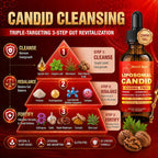 natural immune support liposomal cleanse