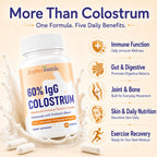 natural immune support multivitamins