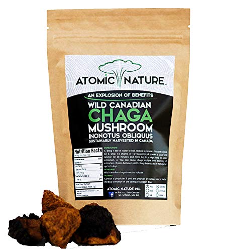 natural immune support mushrooms