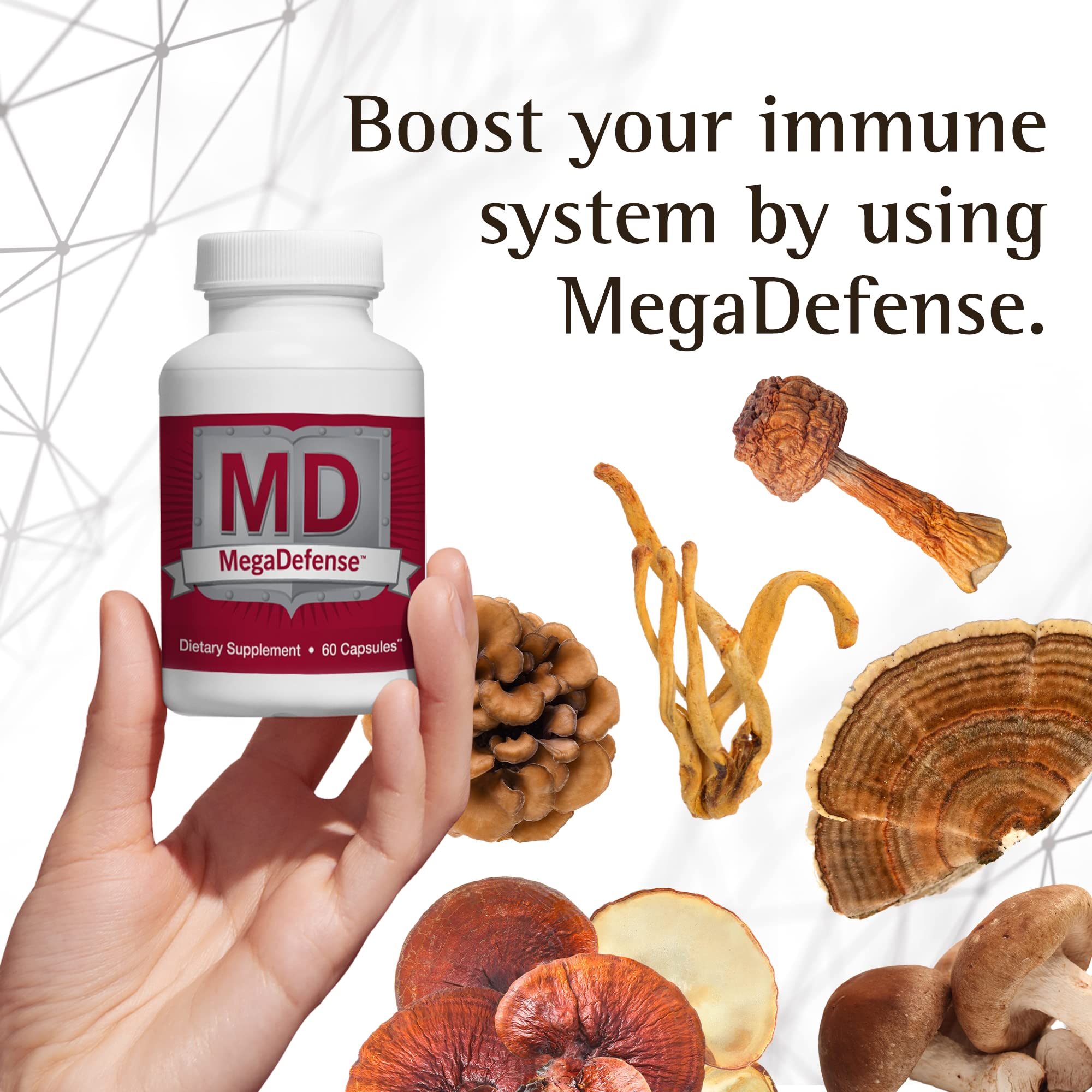 Natural immune support mushrooms
