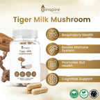 natural immune support mushrooms