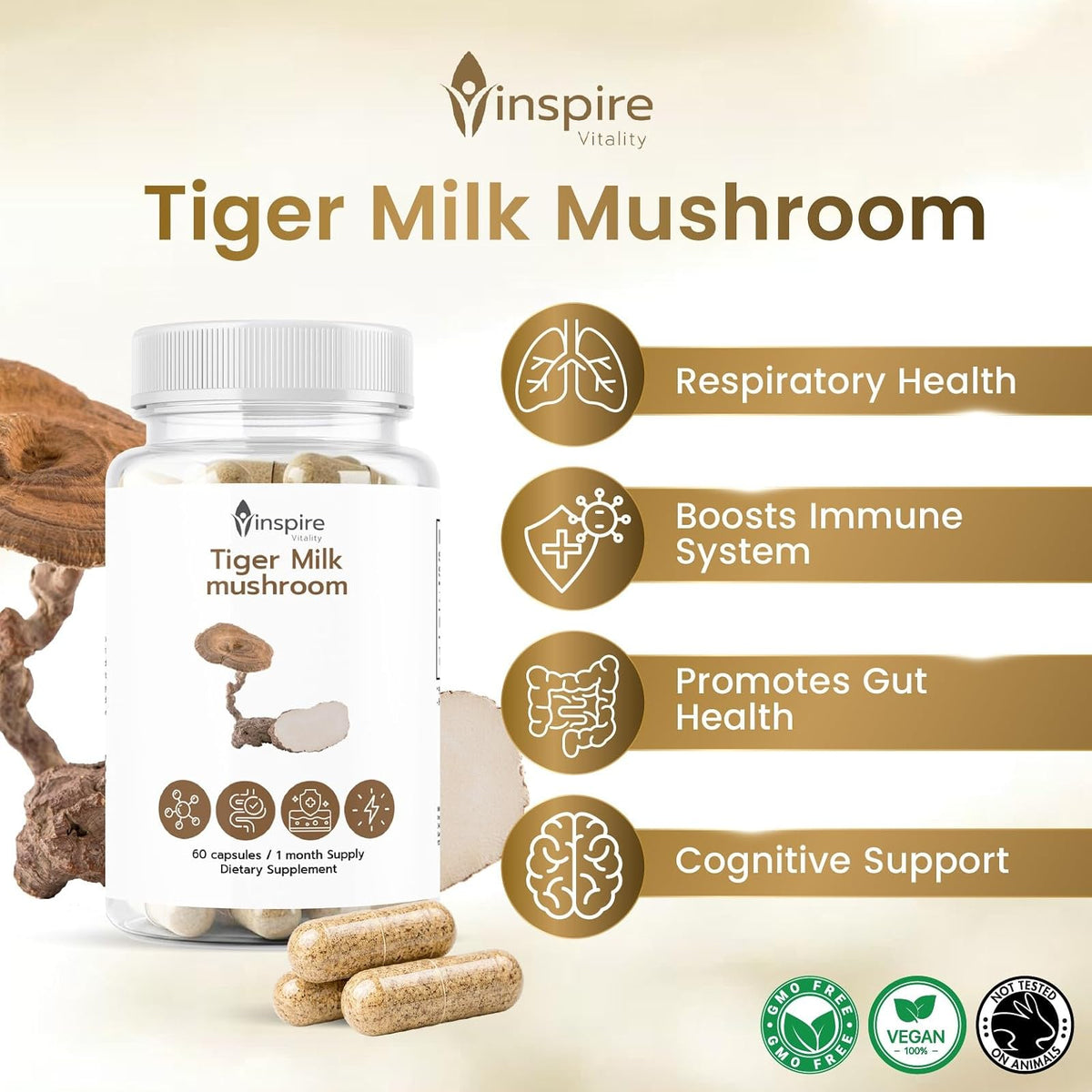 natural immune support mushrooms
