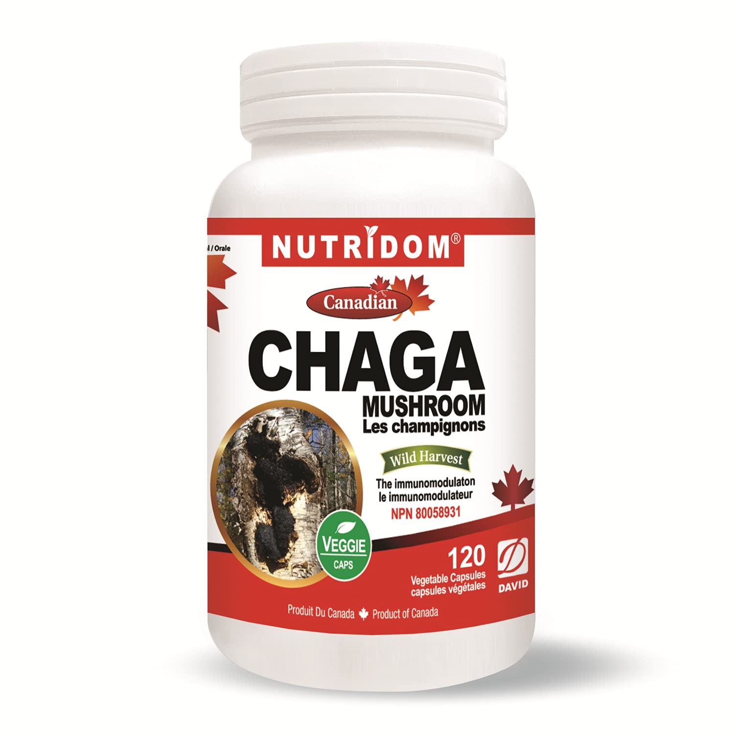 Natural immune support mushrooms
