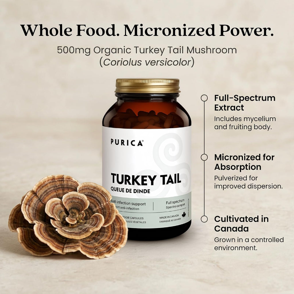 Natural immune support mushrooms