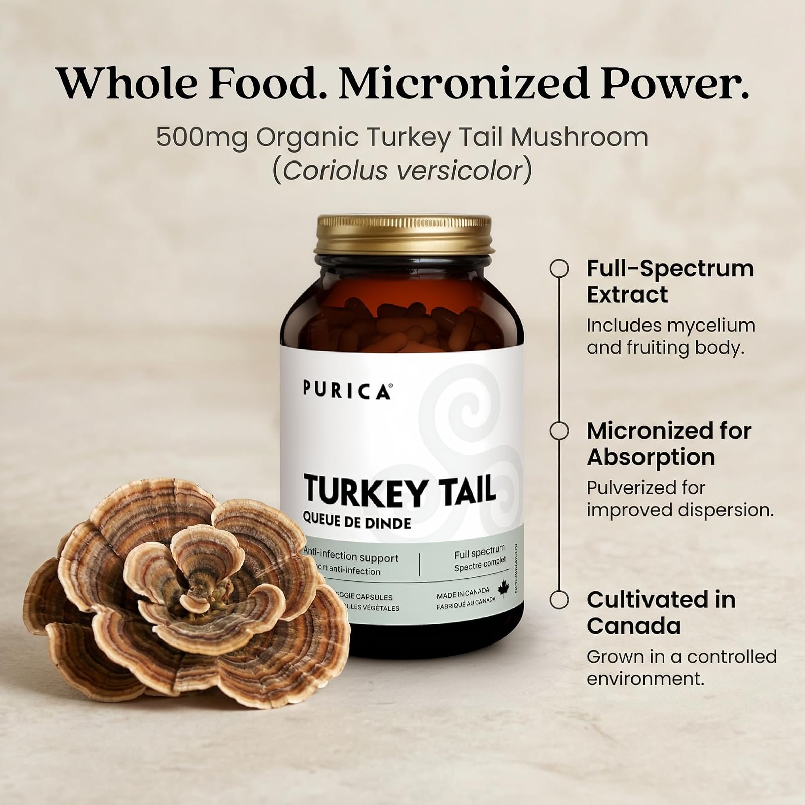 Natural immune support mushrooms