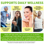 natural immune support olive leaf drops